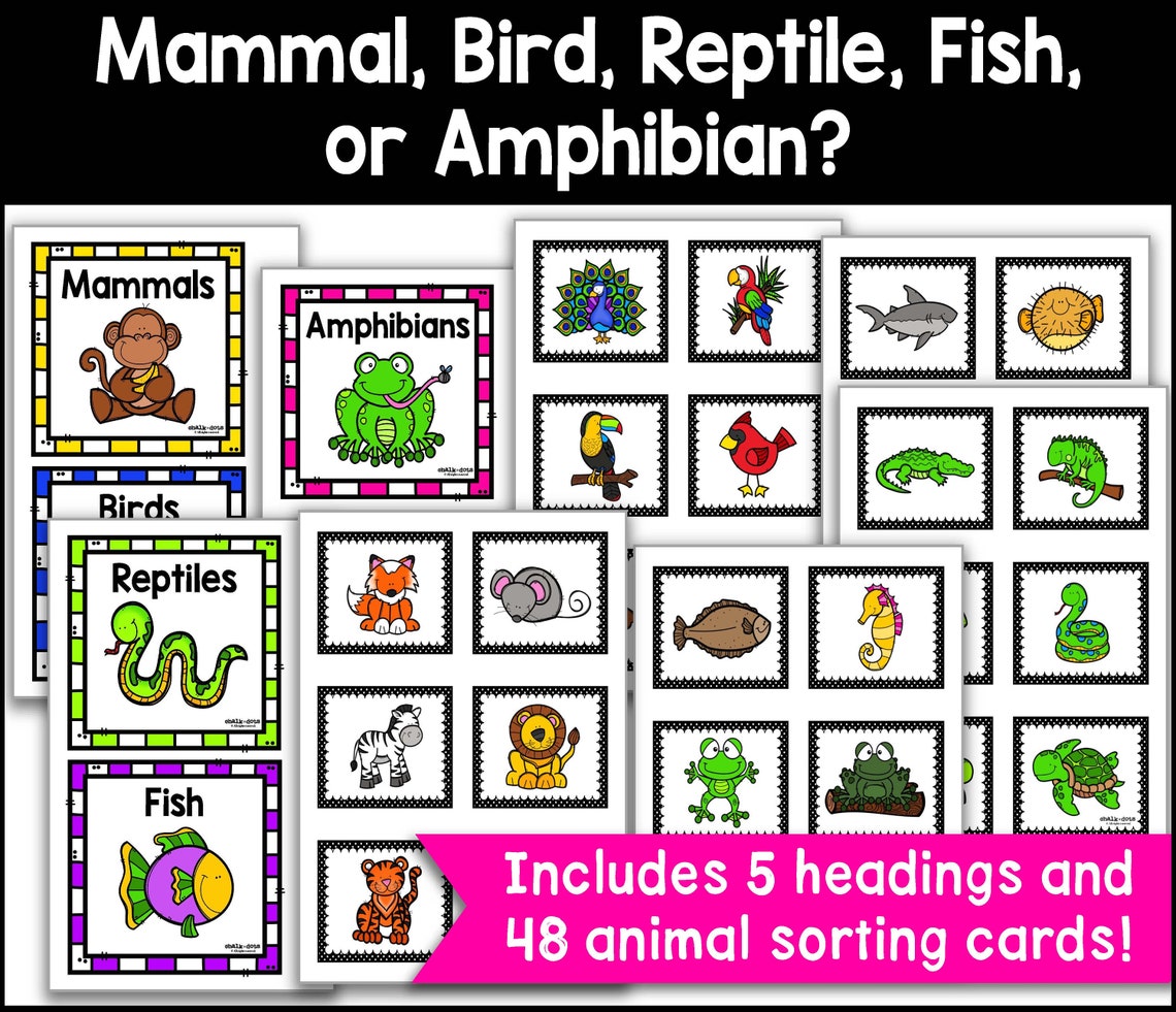 Animal Sort, Animal Classification Sorting Activity, Vertebrates Sort ...