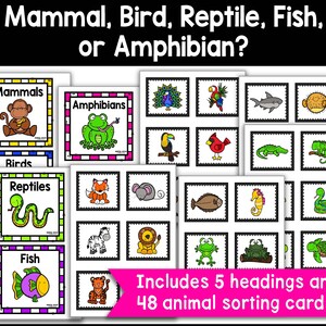 Animal Sort, Animal Classification Sorting Activity, Vertebrates Sort ...