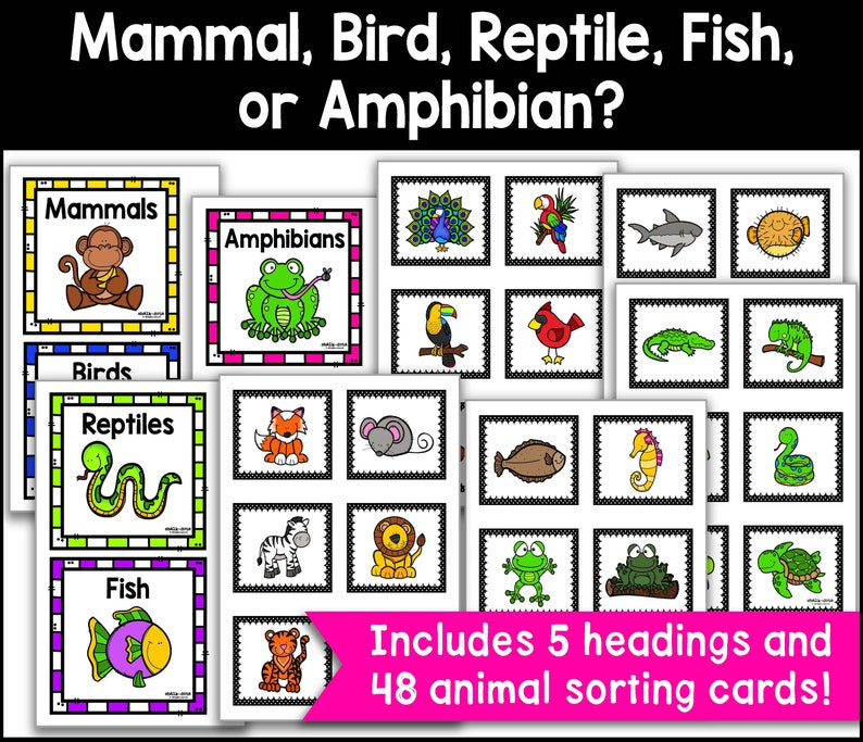 Animal Sort, Animal Classification Sorting Activity, Vertebrates Sort ...