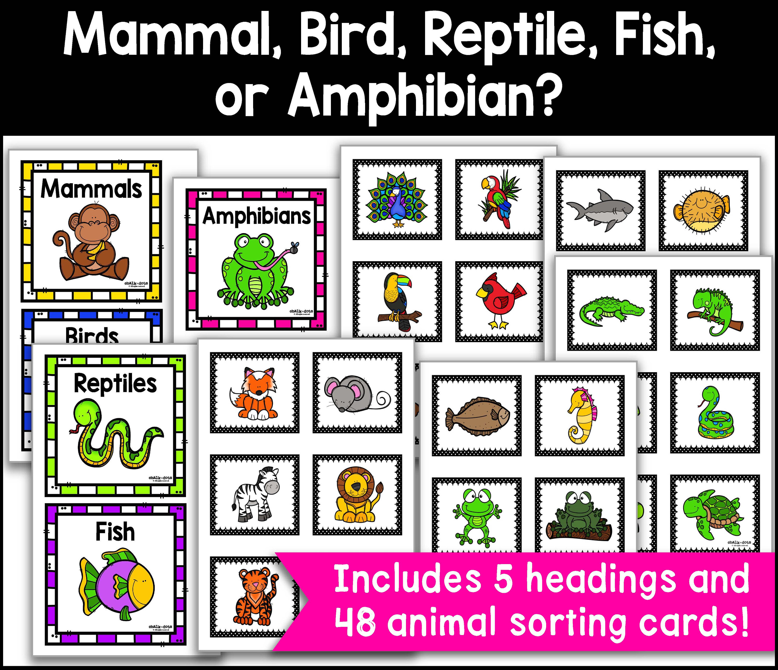 Animal Sort, Animal Classification Sorting Activity, Vertebrates Sort ...