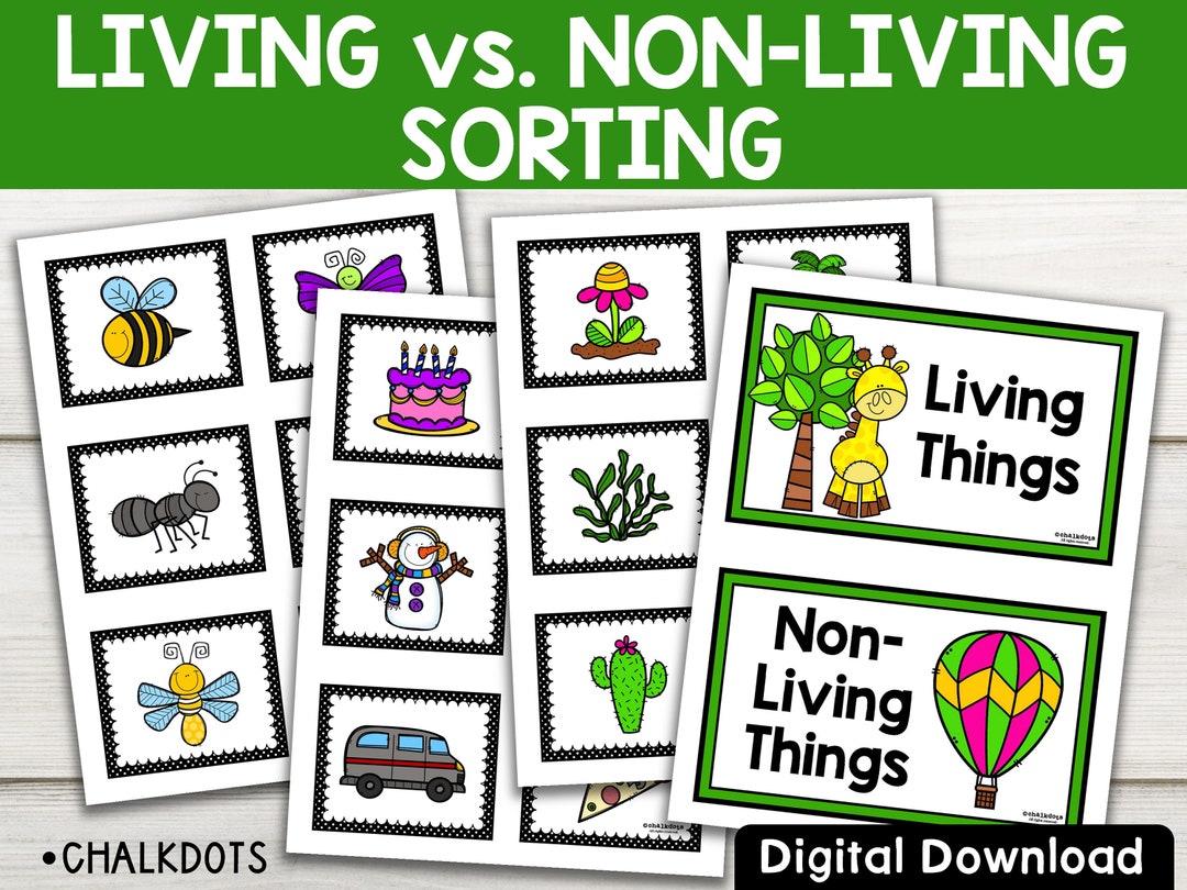 Living and Nonliving Sort Preschool Sort Circle Time - Etsy