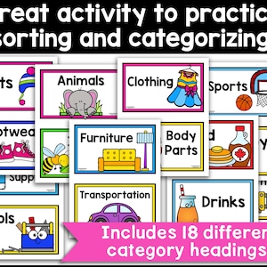 Category Sorting, Classifying Objects, Preschool, Prek, Kindergarten ...