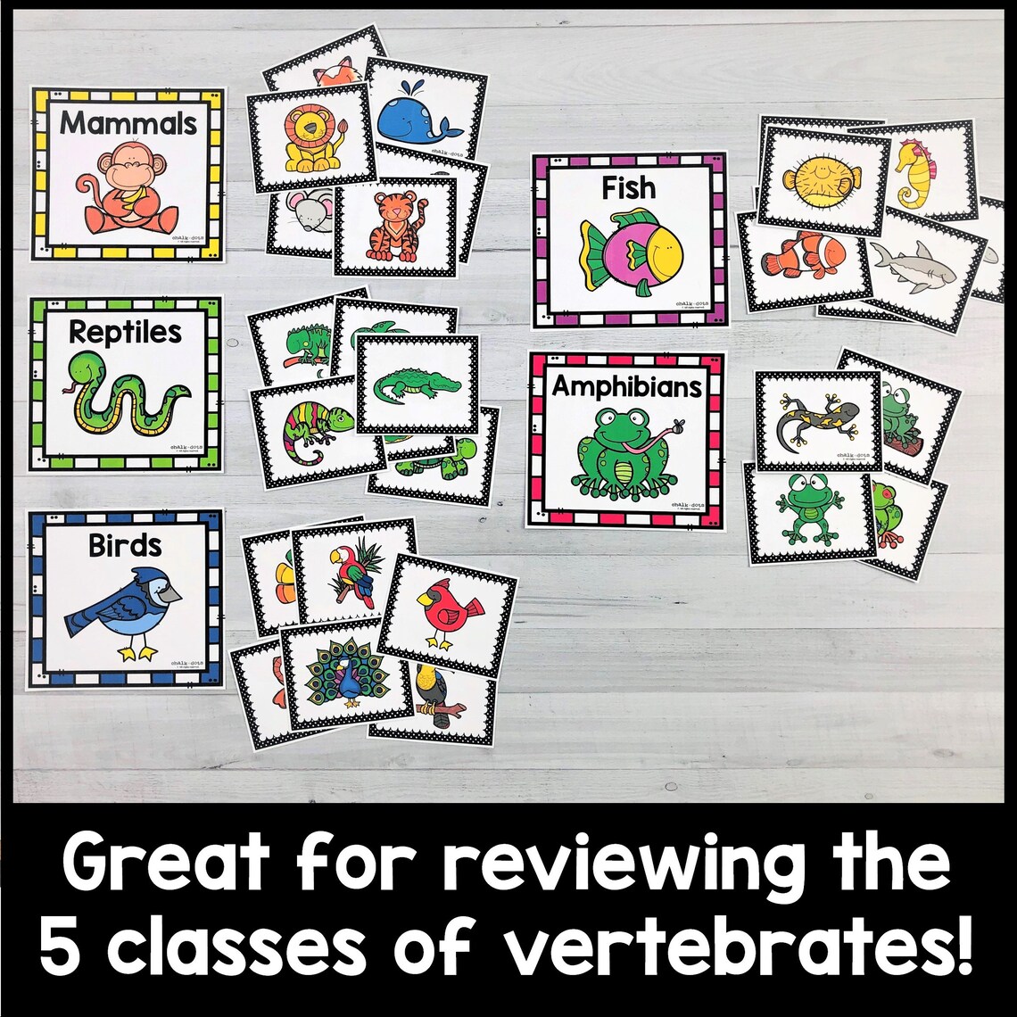 Animal Sort, Animal Classification Sorting Activity, Vertebrates Sort ...