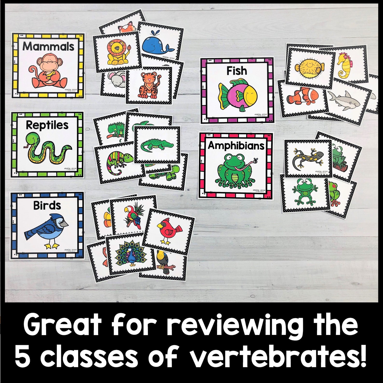 Animal Sort, Animal Classification Sorting Activity, Vertebrates Sort ...