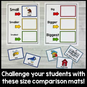 Big and Small Sorting, Preschool Sorting Activity, Learning Center ...