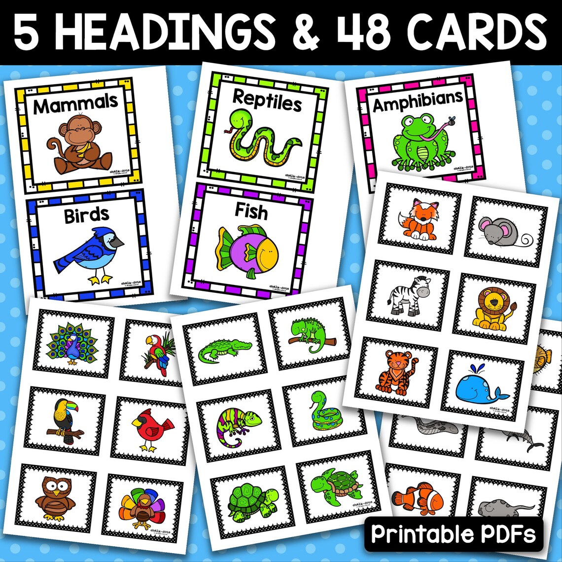 Animal Sort Animal Classification Sorting Activity - Etsy