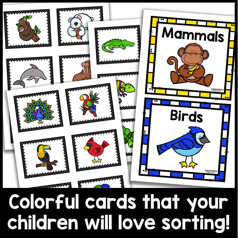 Animal Sort, Animal Classification Sorting Activity, Vertebrates Sort ...