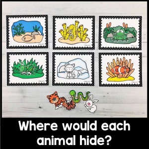 Animal Sort, Animal Homes, Animal Camouflage, Preschool, Prek ...