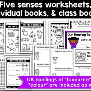 Five Senses Activities, Five Senses Unit, Preschool, Prek, Kindergarten ...