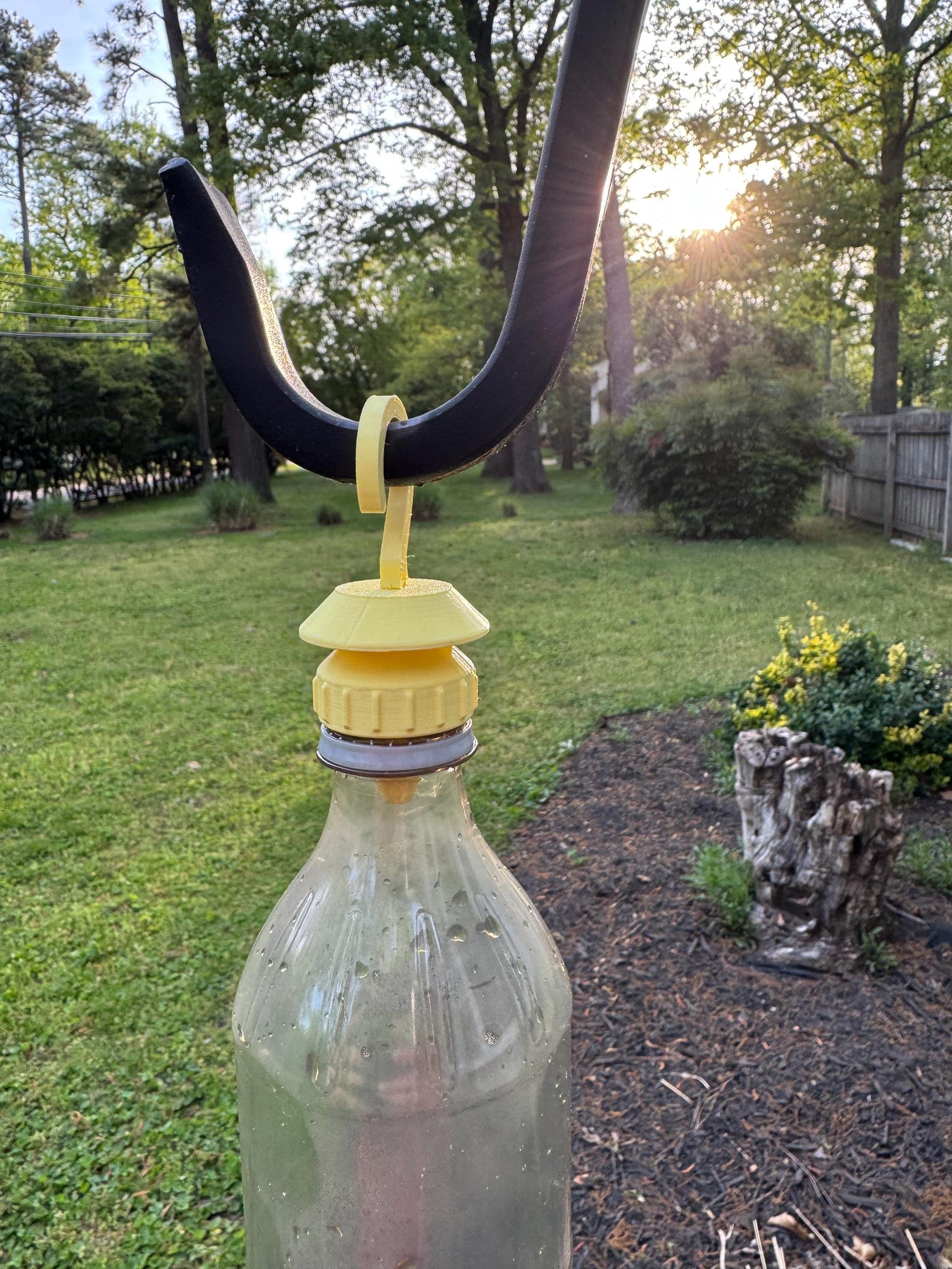 Wasp & Bee Soda Bottle Trap - Pack of 3 - Etsy