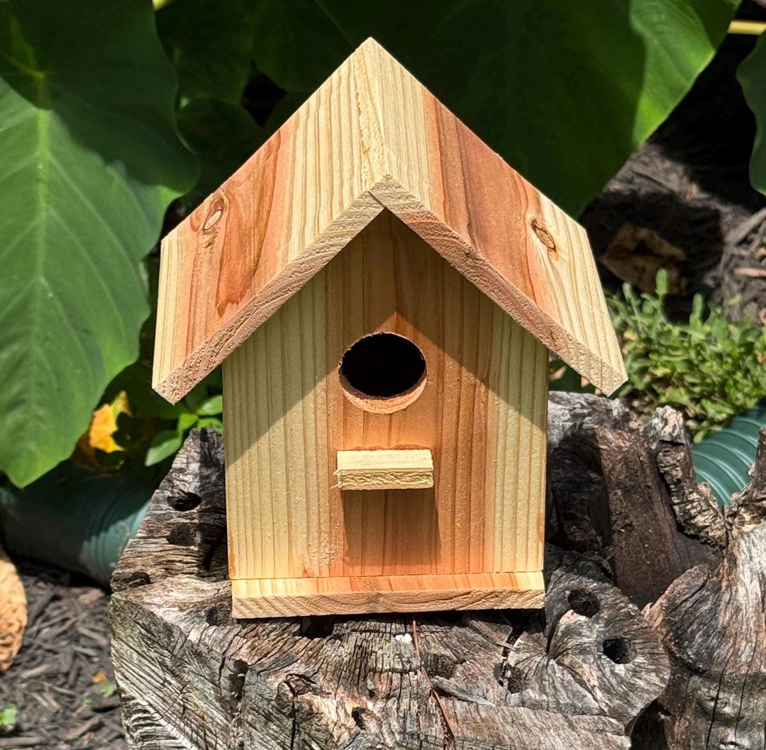 Cedar Bird House: Rustic Garden Decor, Removable Base - Etsy