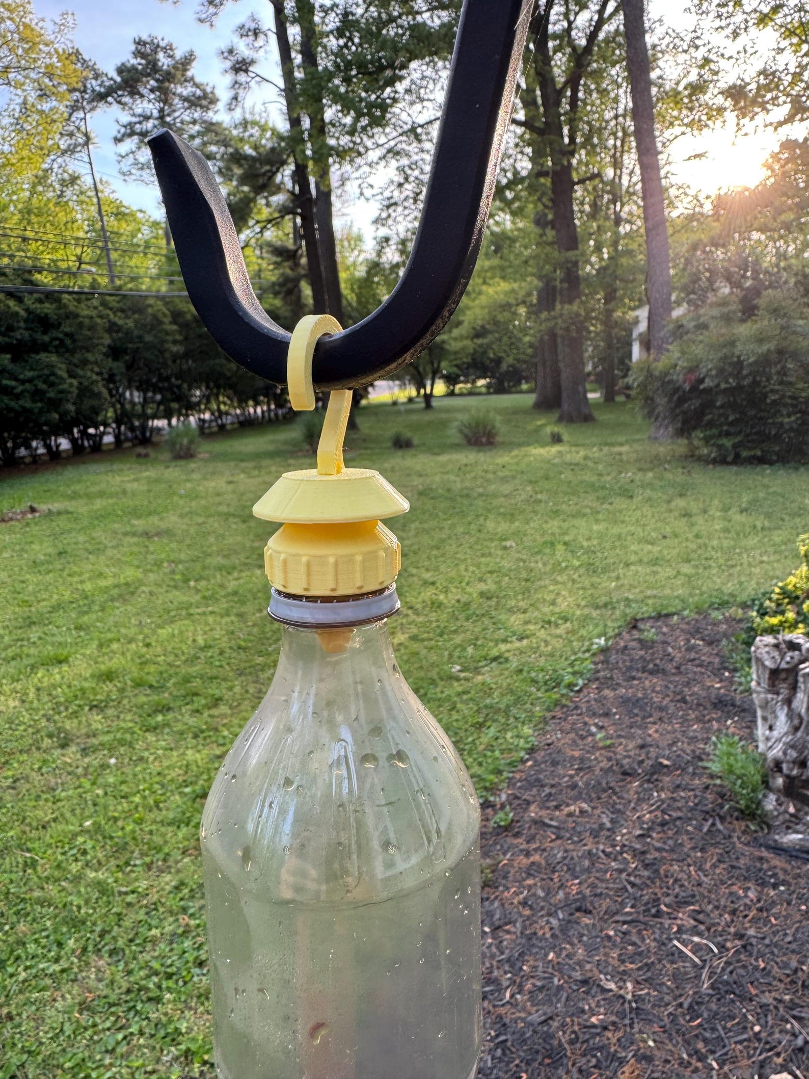Wasp & Bee Soda Bottle Trap - Pack of 3 - Etsy