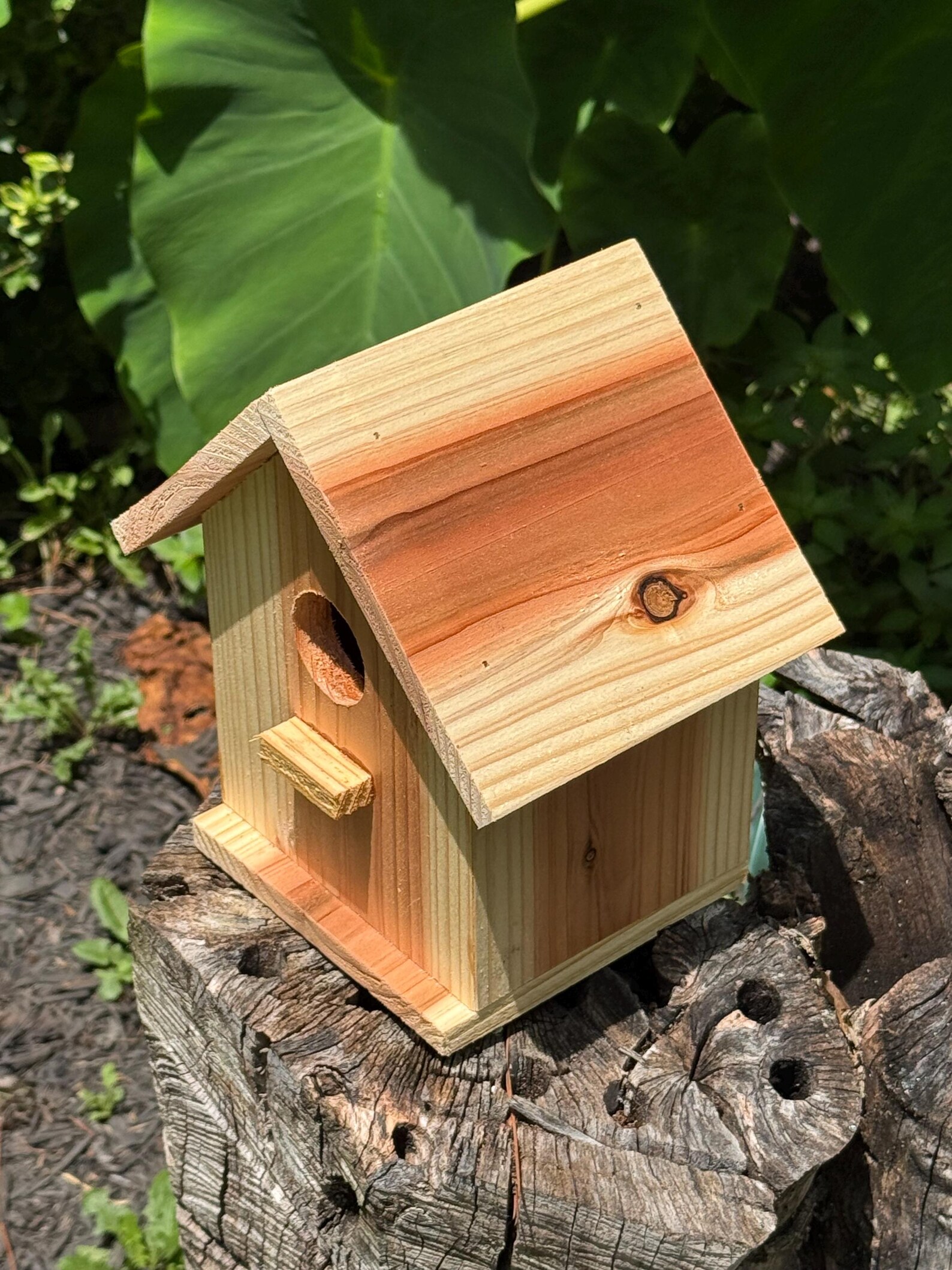 Cedar Bird House: Rustic Garden Decor, Removable Base - Etsy