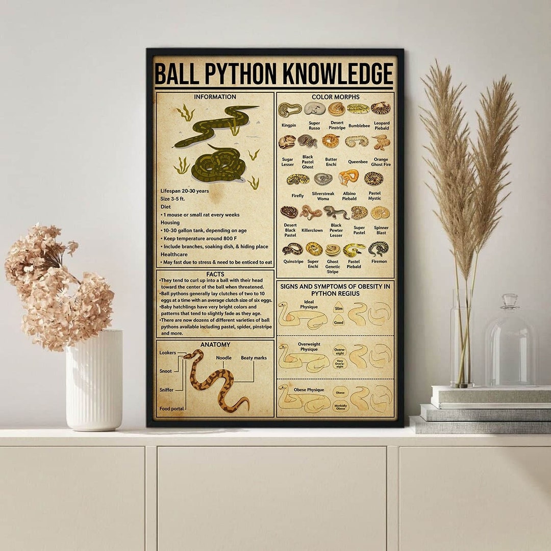 Ball Python Knowledge Poster, Ball Python Poster, Ball Python Art Print, Ball Python Wall Art ...