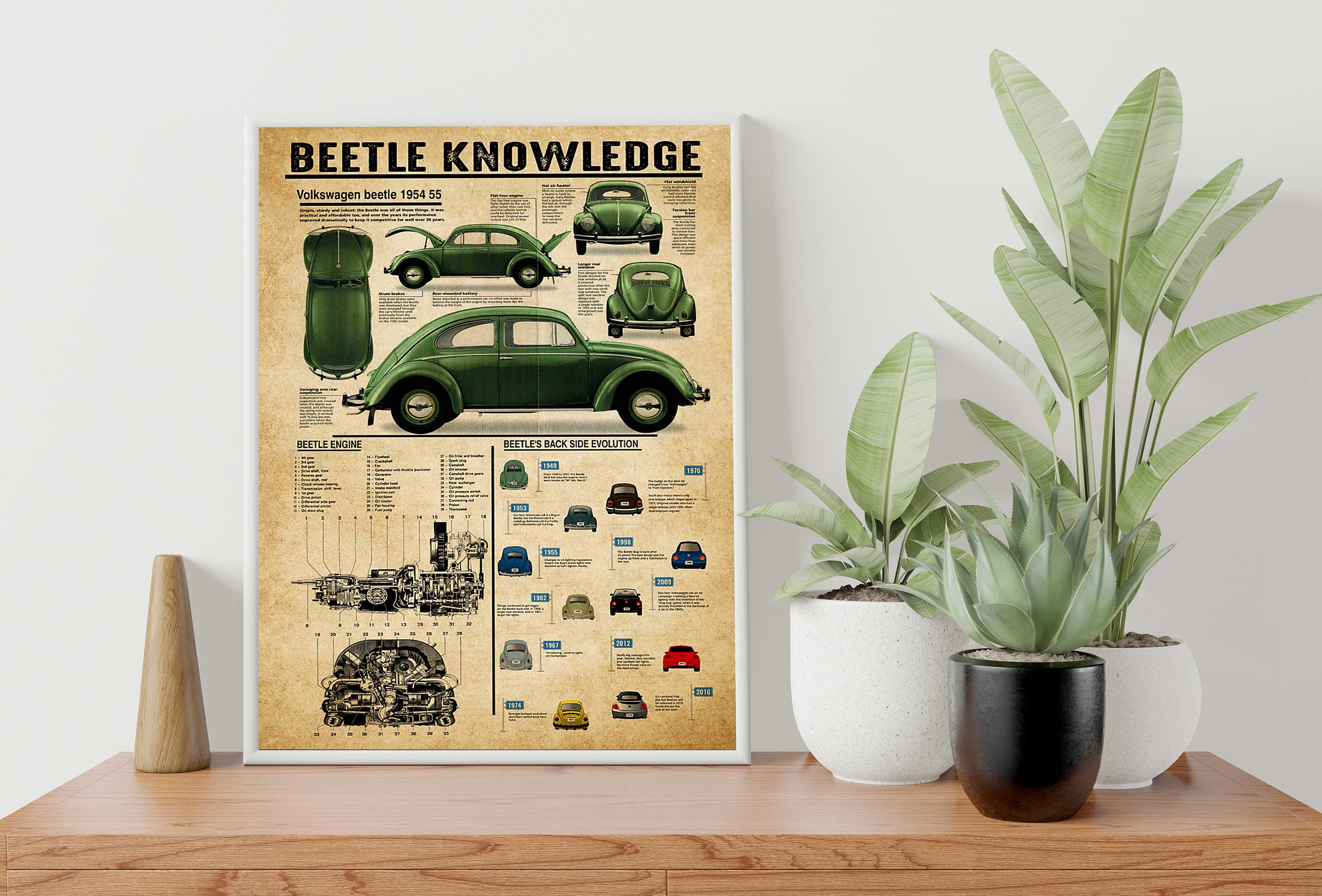 Beetle Knowledge Poster Vintage Poster Retro Poster Car | Etsy