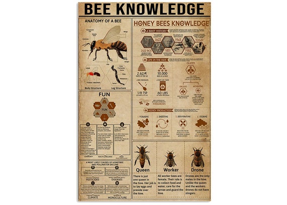 Honey Bee Knowledge Poster Vintage Poster Retro Poster Bee | Etsy