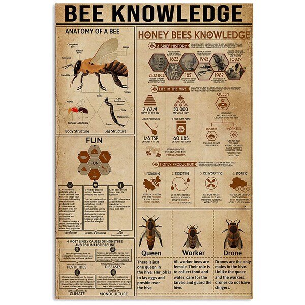 Bee Poster - Etsy