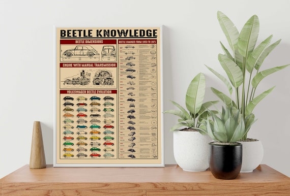 Beetle Knowledge Poster Vintage Poster Retro Poster Car | Etsy