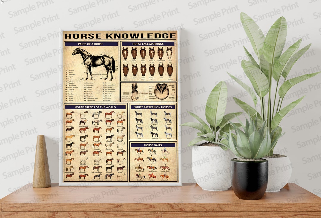 Horse Knowledge Poster, Horse Poster, Horse Lover Gift, Horse Racing ...