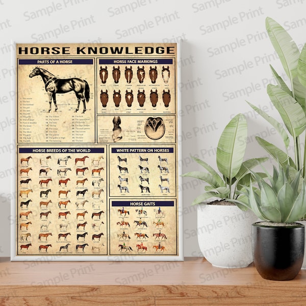 Horse Knowledge Poster - Etsy