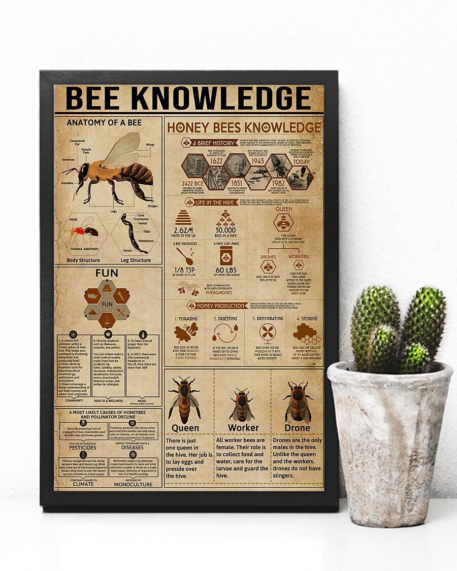 Honey Bee Knowledge Poster Vintage Poster Retro Poster Bee | Etsy