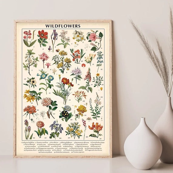 Vintage Wildflowers Poster Botanical Wall Art Prints Flower - Etsy