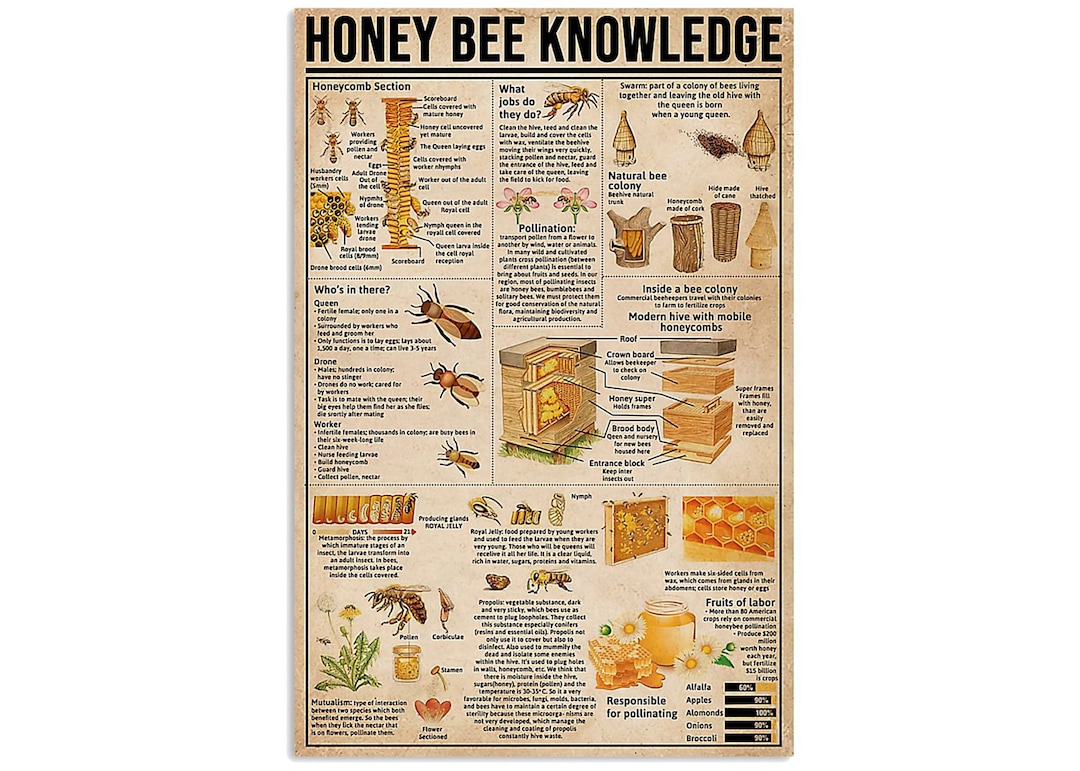 Honey Bee Knowledge Poster, Vintage Poster, Retro Poster, Bee Wall Art ...