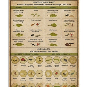Common Garden Pests Knowledge Poster, Garden Pests Poster, Gardening ...