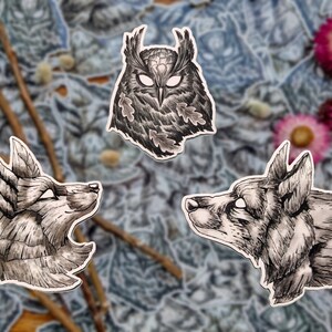 Woodland Animals Sticker Pack Fox Wolf Owl Stickers Set of | Etsy
