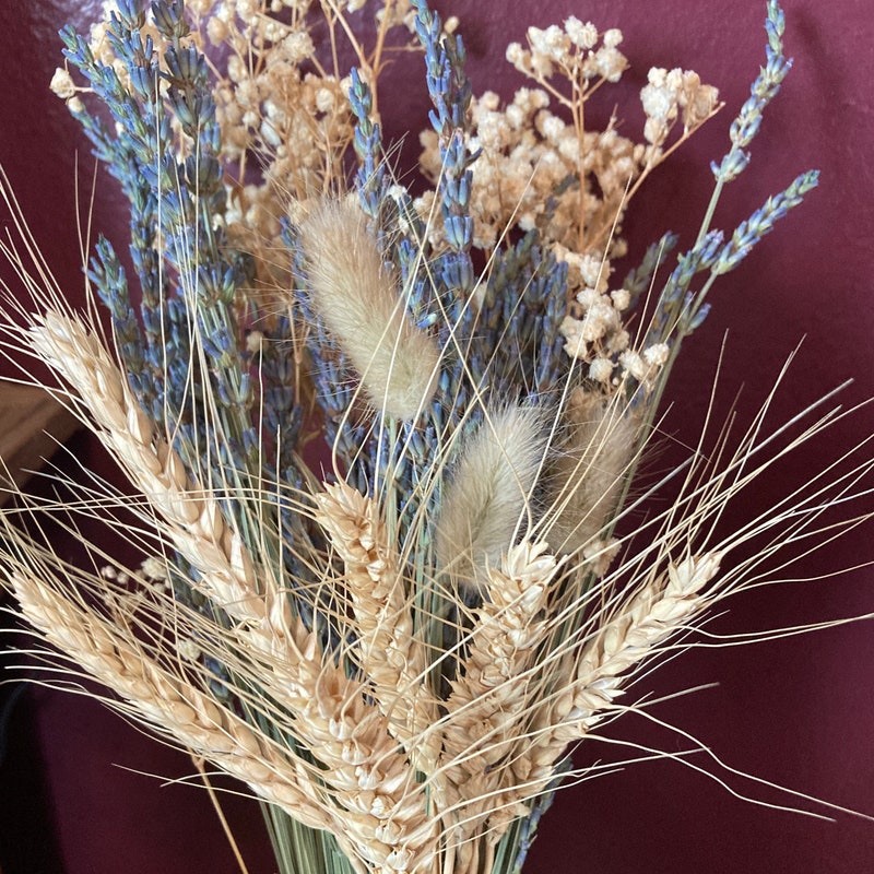 Dried Wheat - Etsy