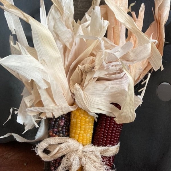 Ornamental Corn - Etsy