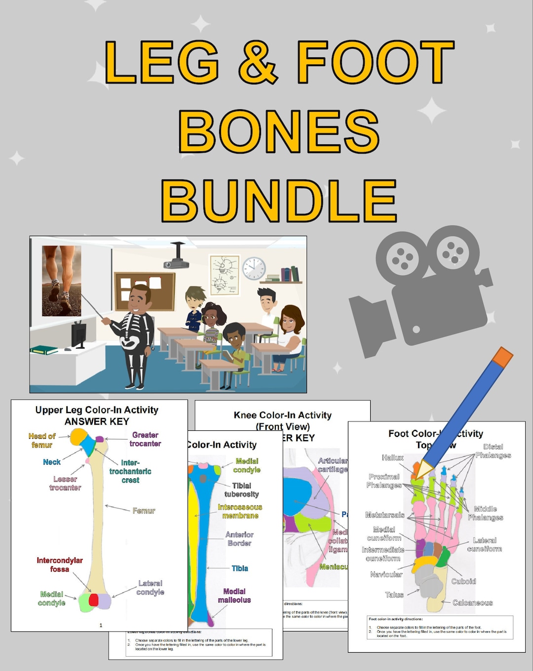 Anatomy: Leg, Knee, Foot Bones Bundle - Etsy