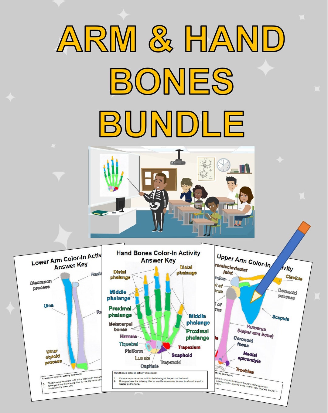 Anatomy: Arm and Hand Bones Bundle - Etsy