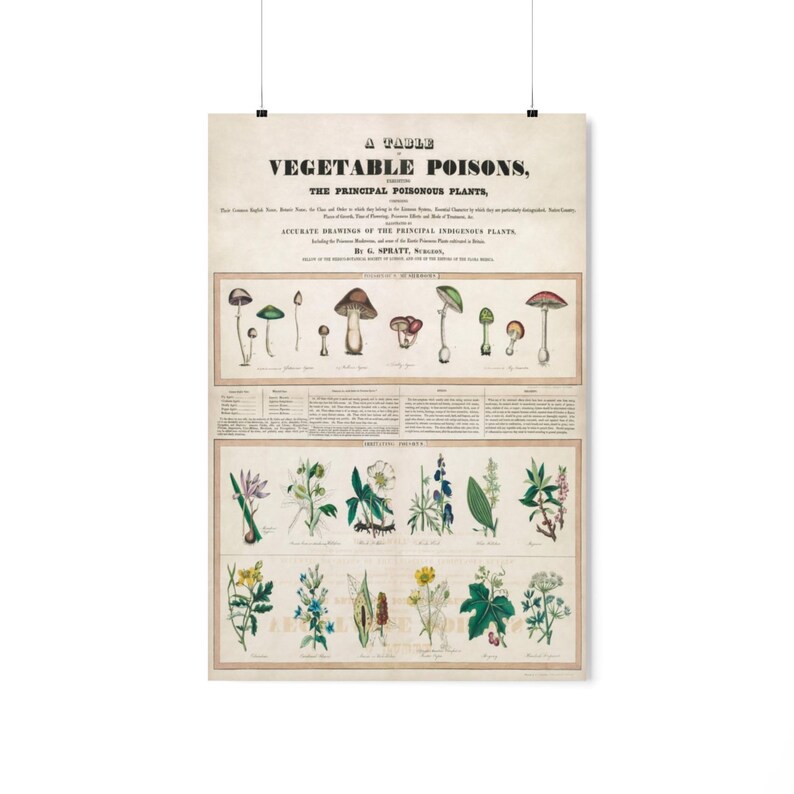 Table of Vegetable Poisons Antique Lithograph Chart Print - Etsy
