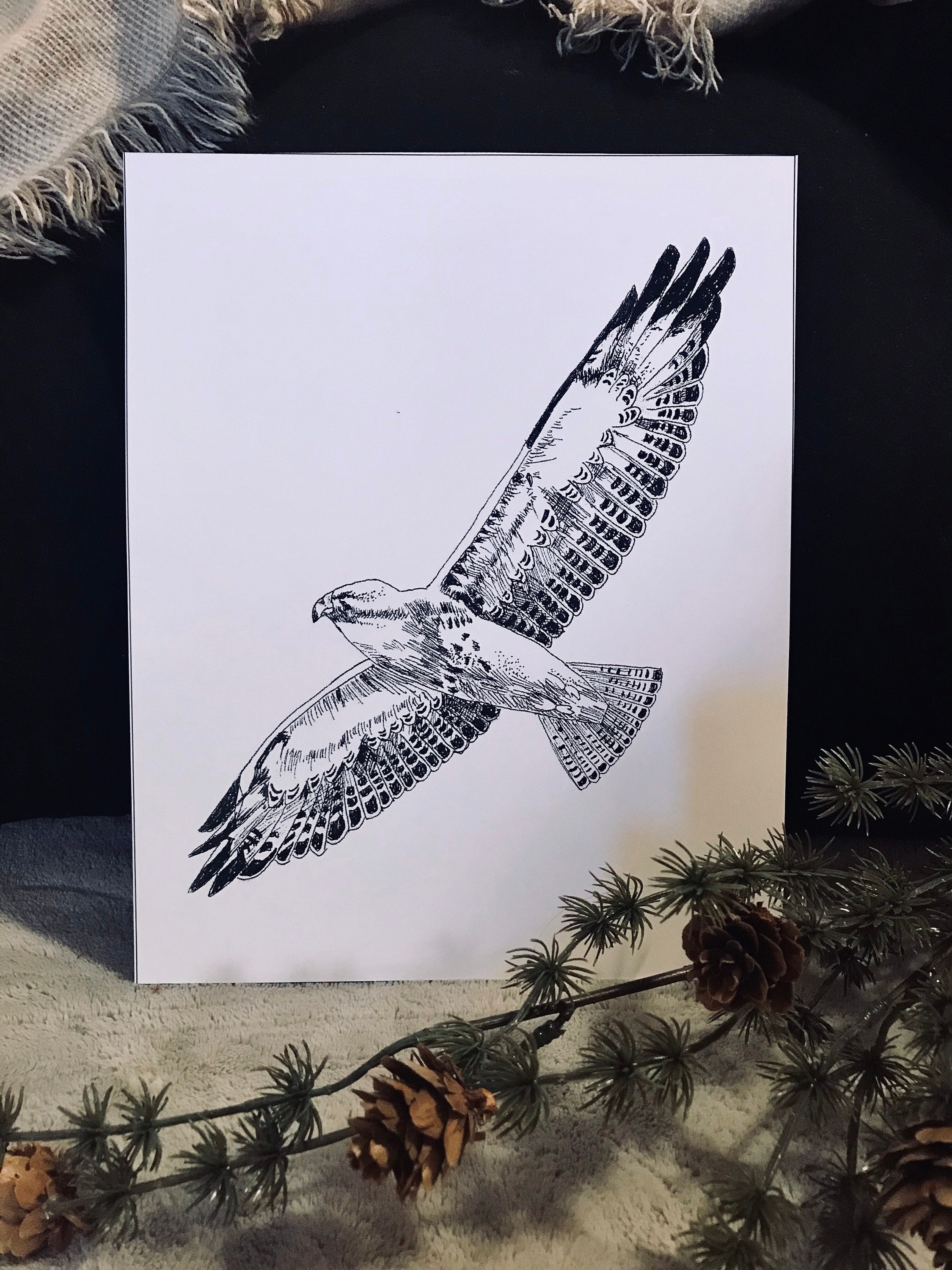 Red Tailed Hawk Print | Ink Wall Sign | Wildlife Print | Nature Print ...