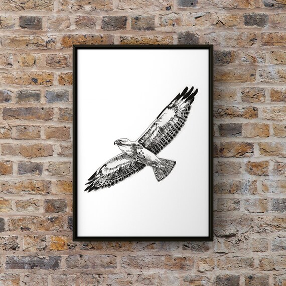 Red Tailed Hawk Print Ink Wall Sign Wildlife Print | Etsy
