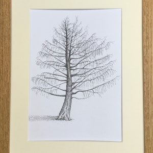 Tree Drawing Art Print - Etsy