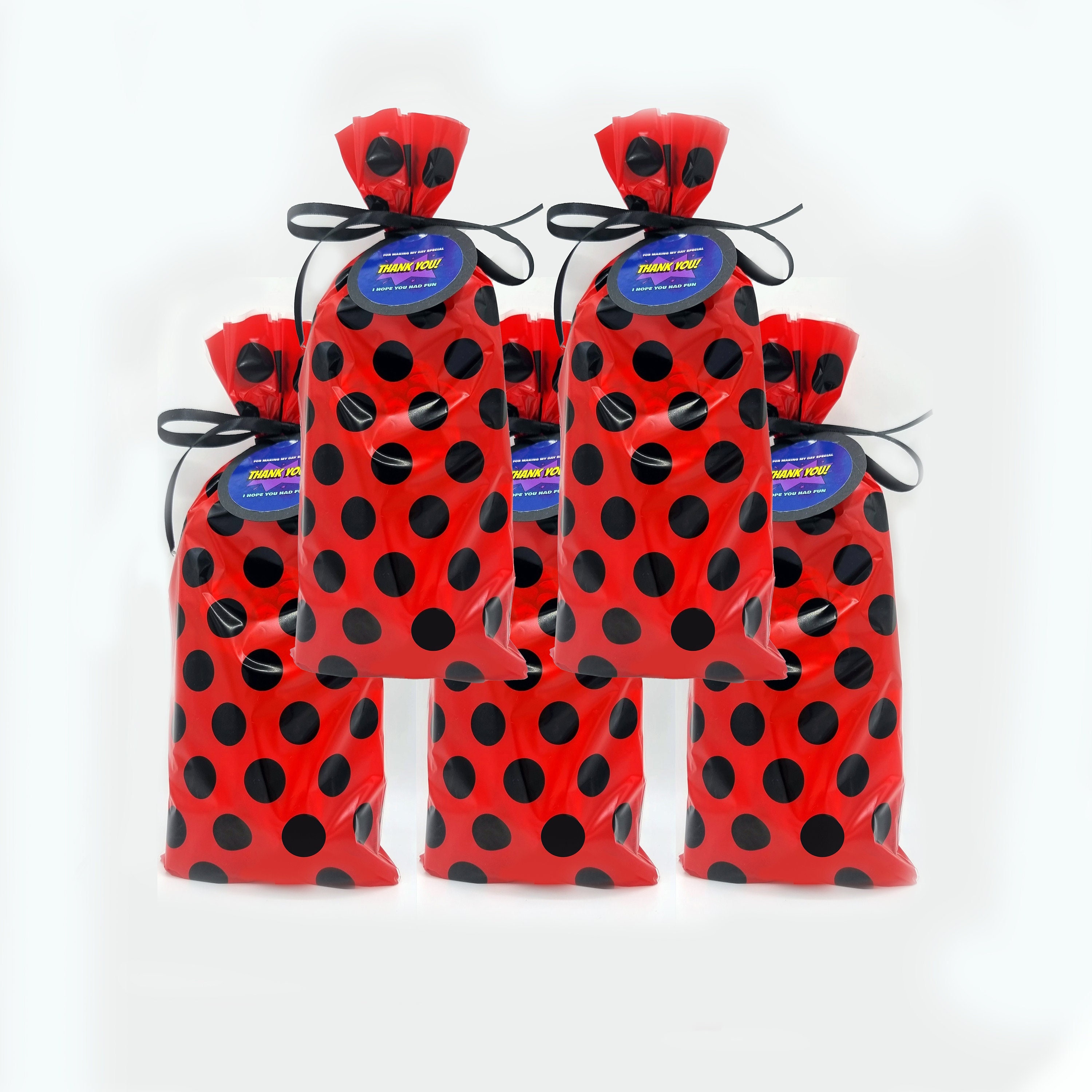 Ladybug Themed Thank You Gifts