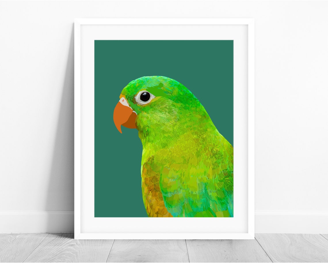 Parrot Prints Set of 3 Bird PRINTABLE Wall Art Budgerigar | Etsy