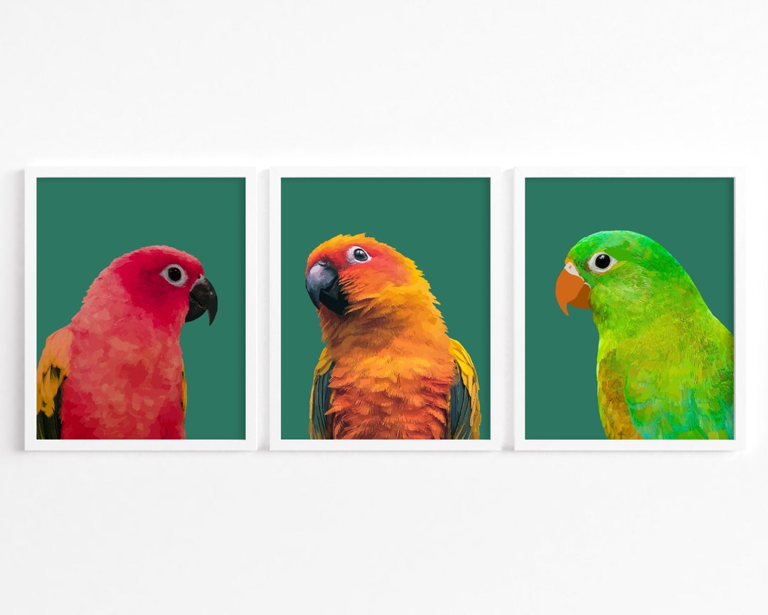 Parrot Prints Set of 3 Bird PRINTABLE Wall Art, Budgerigar, Budgie Pet ...