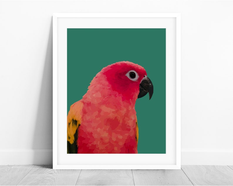 Parrot Prints Set of 3 Bird PRINTABLE Wall Art Budgerigar | Etsy