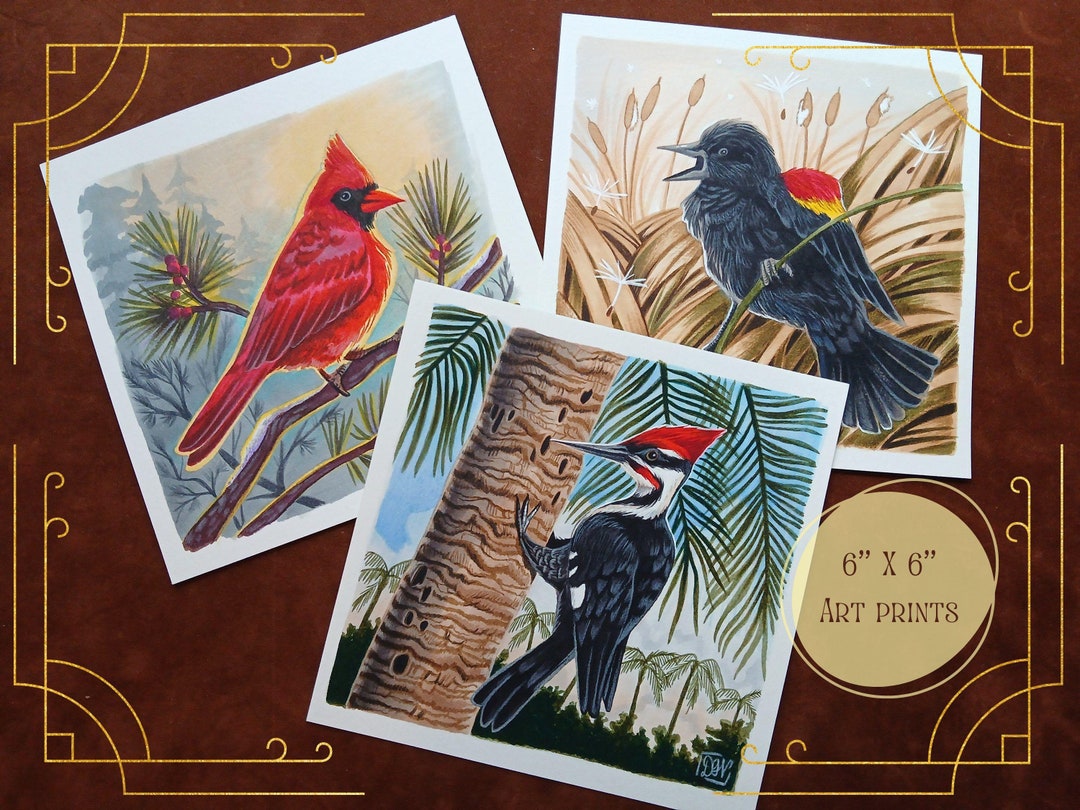 North American Birds Art Print – 6x6 Square Nature Wall Decor - Etsy