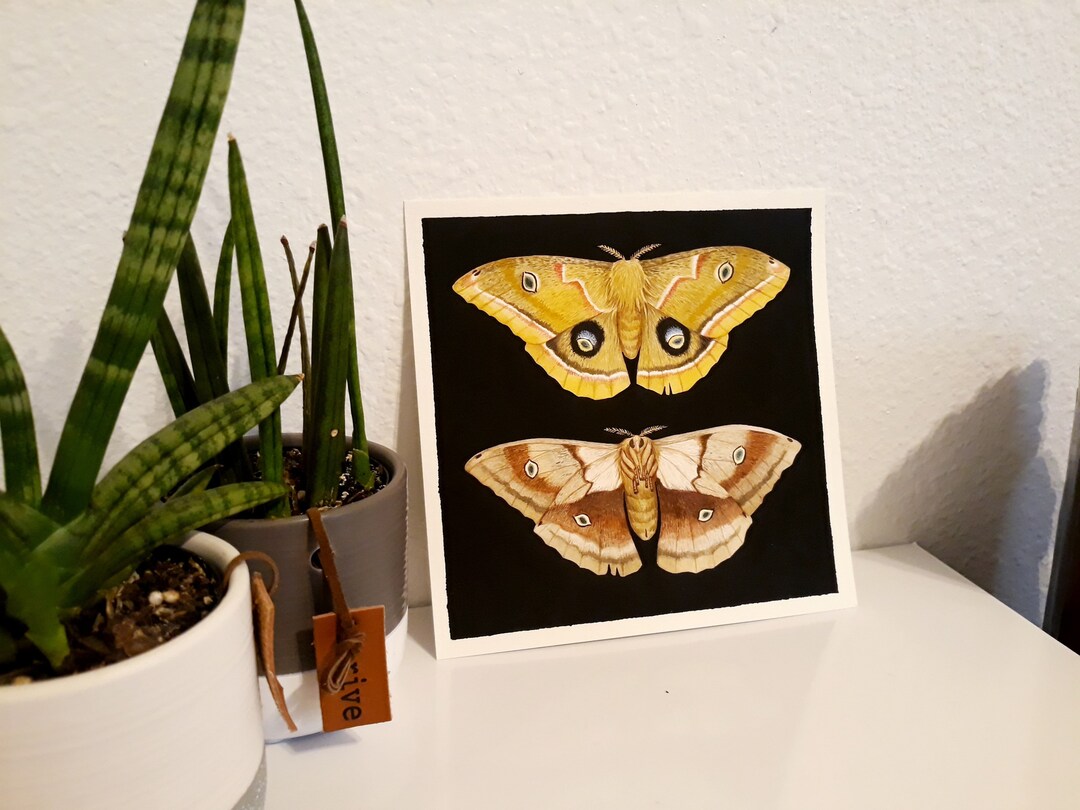 Polyphemus Moth Art Print - Watercolor Prints - Nature Wall Decor ...