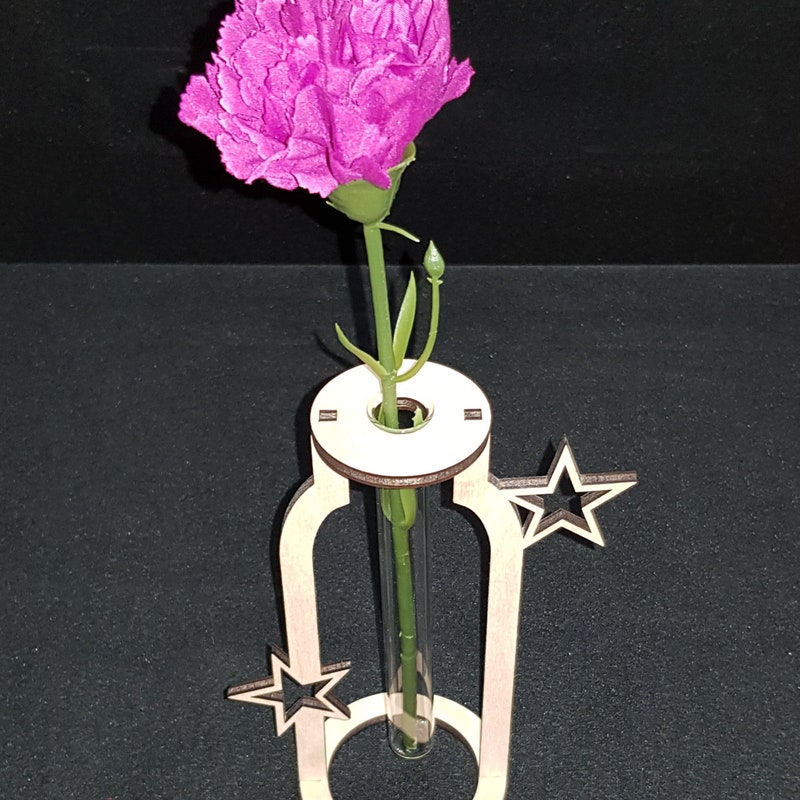 Test Tube Vase - Etsy