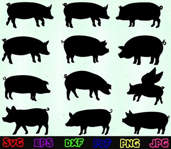 Pig Svg Animal Svg Farm Animal Svg Bacon Svg Pig | Etsy Canada