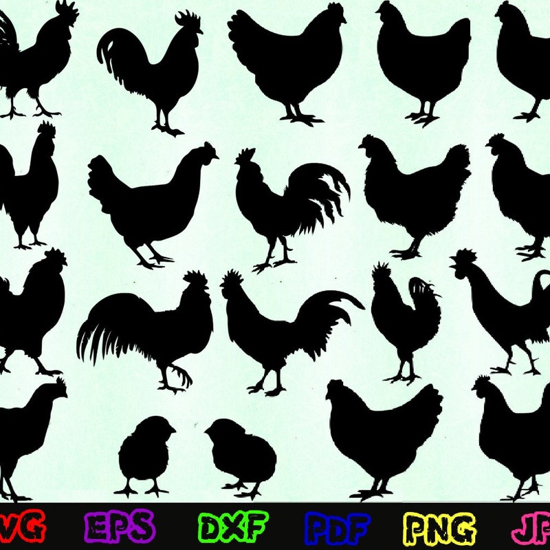 Chicken Svg - Etsy