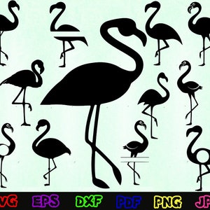 Flamingo Svg - Zoo Svg - Flamingo Silhouette - Flamingo Cut Files ...
