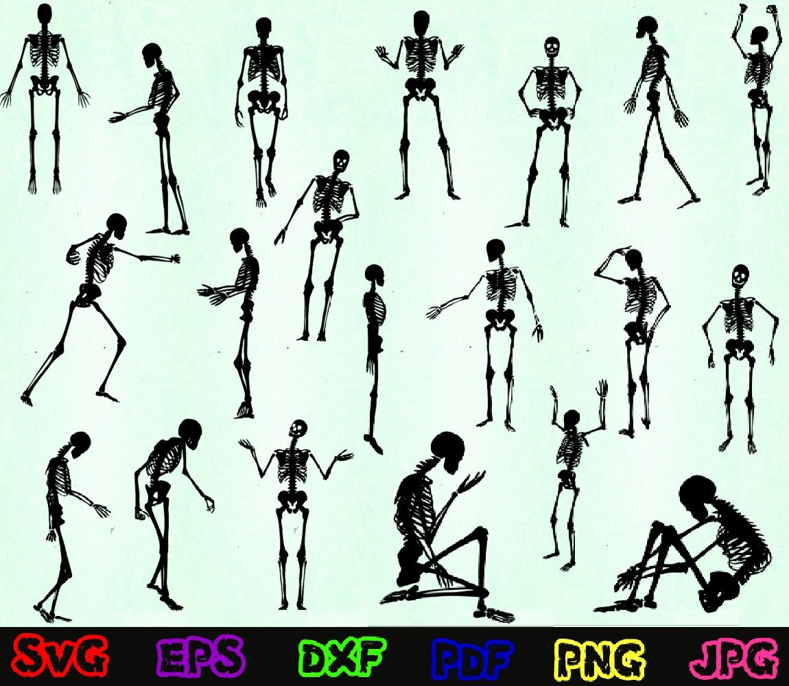 Skeleton Svg Skeleton Silhouette Skeleton Cut Files | Etsy