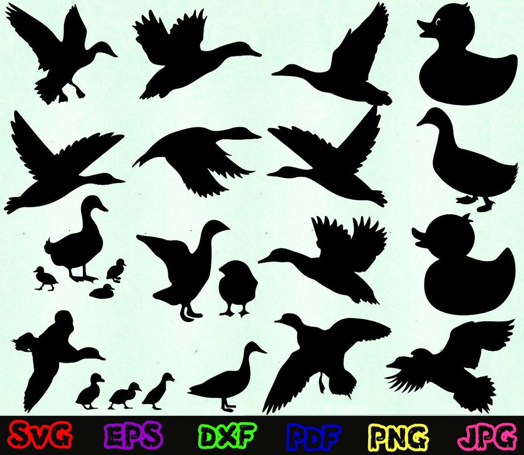 Duck Svg Animal Svg Duck Hunting Svg Duck Hunter Svg - Etsy UK