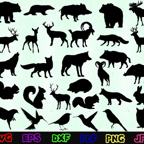 Forest Animal Svg Animal Svg Forest Animal Cut File - Etsy